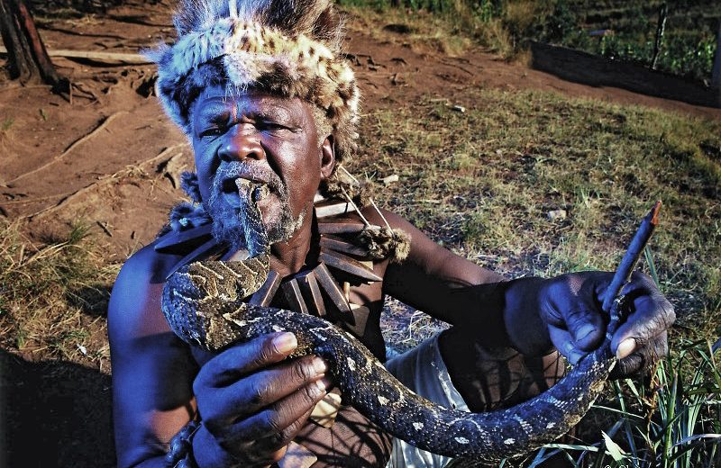 VaDoma, the Ostrich Tribe with Rare ‘Two-Toes’ – MOMO AFRICA