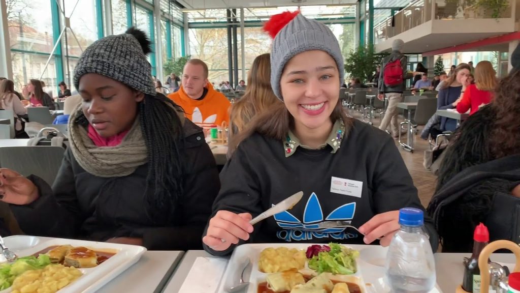 The Importance of Student Exchange Program for Africans – MOMO AFRICA