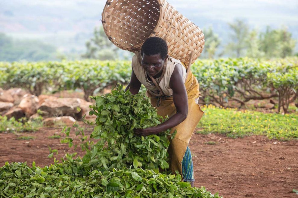 How To Be Comfortable With Power and Influence in African Workplace ...