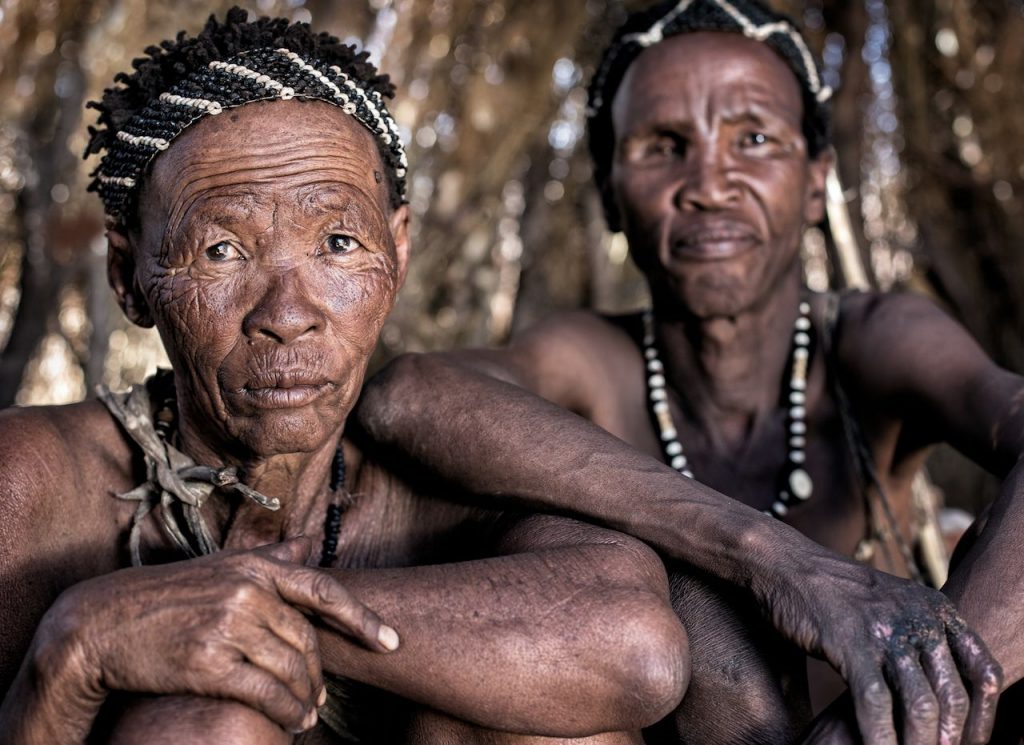 The Lifestyle Of The Bushmen of Southern Africa – MOMO AFRICA